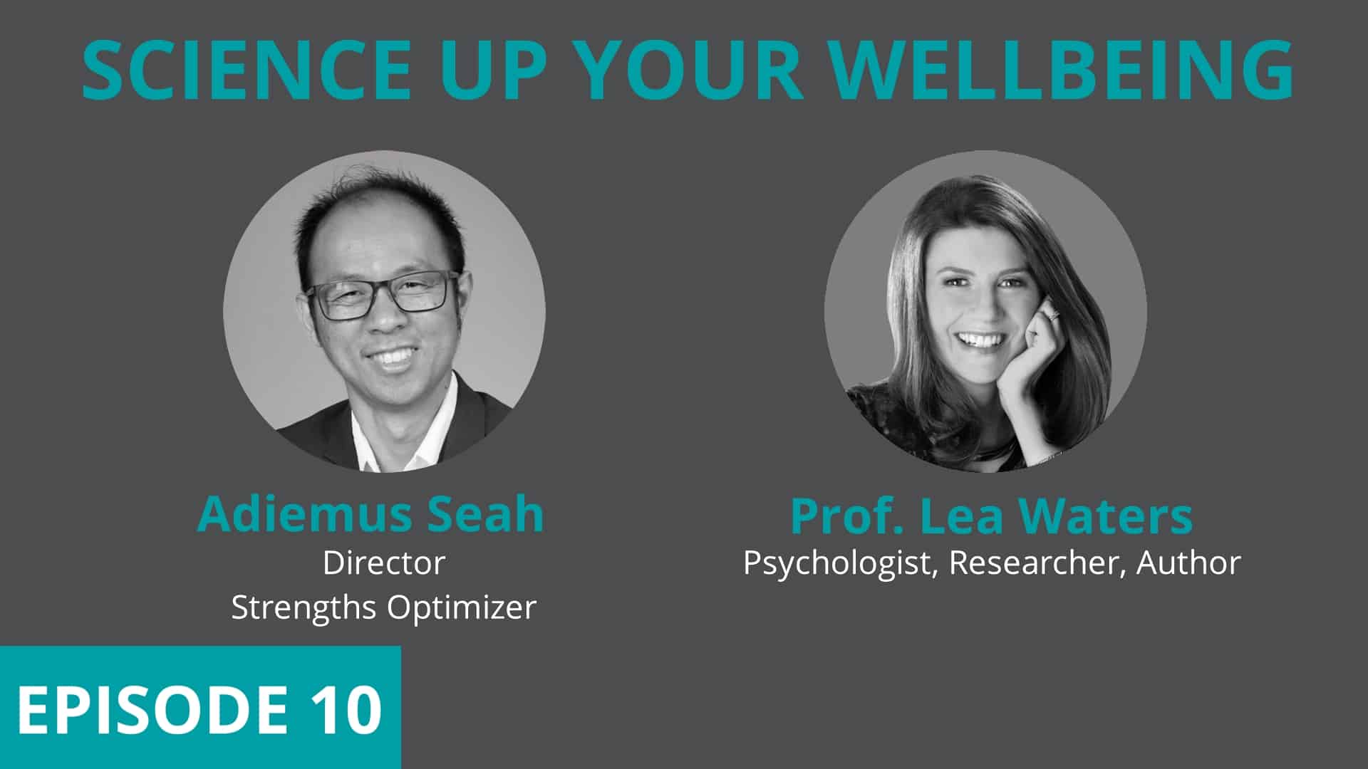 Strengths-Based Parenting in Practice - Strengths Optimizer